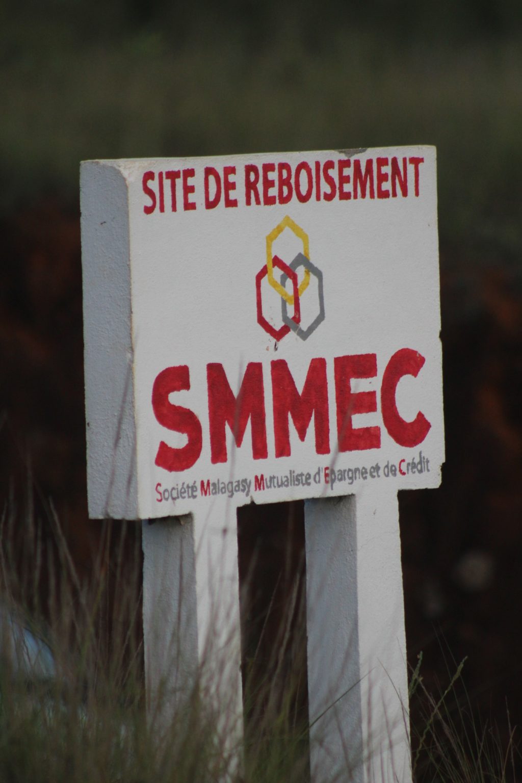 « LES AGENCES DE LA SMMEC DANS LES RÉGIONS : POUR FAIRE DE MADAGASCAR UNE REFUGE À LONG TERME ...